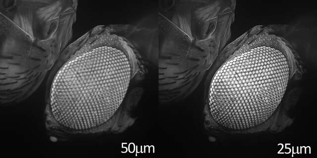 CSU-W1 | Yokogawa CSU Series | Confocal and Multiphoton Microscopes ...