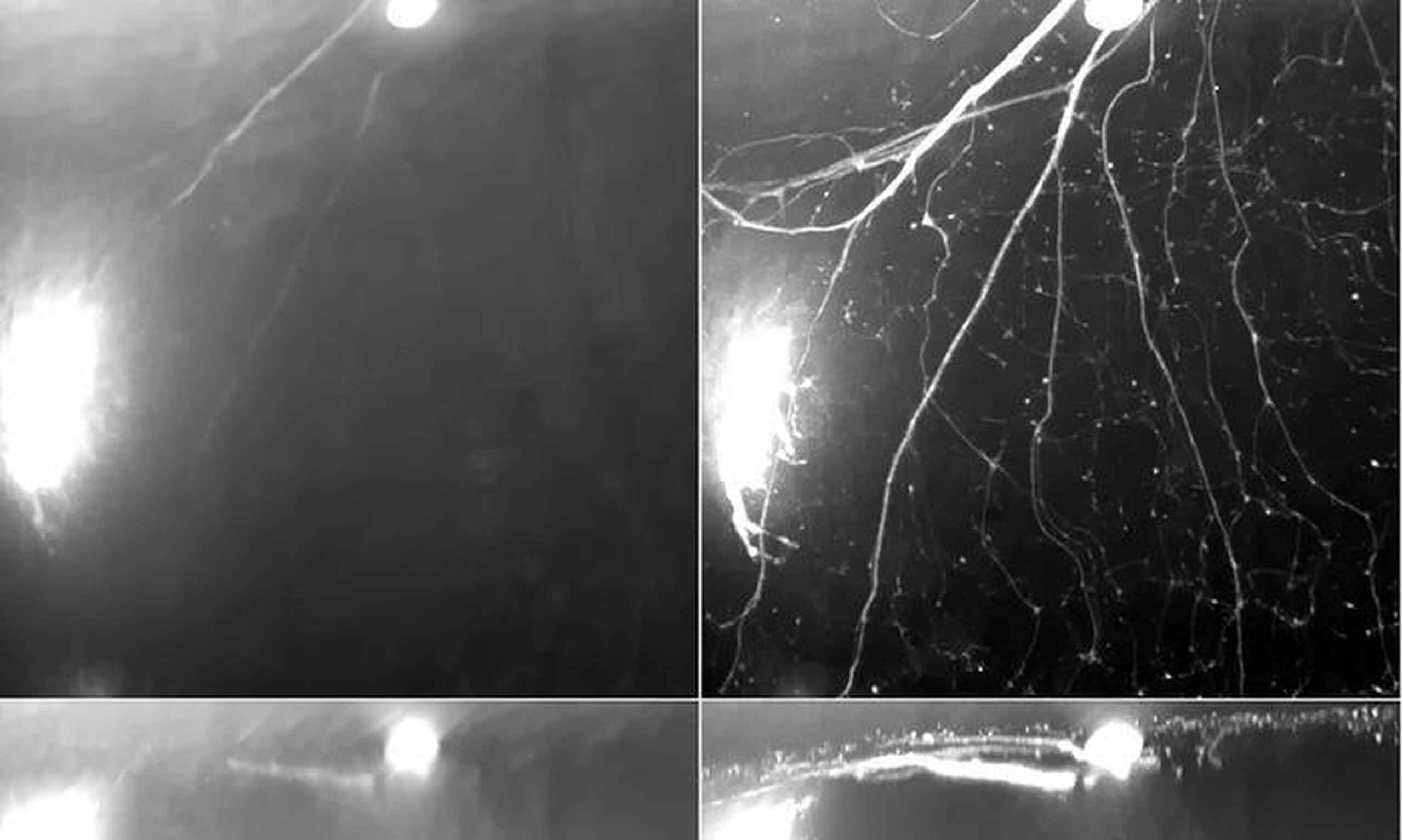 CSU-X1 | Yokogawa CSU Series | Confocal and Multiphoton Microscopes ...