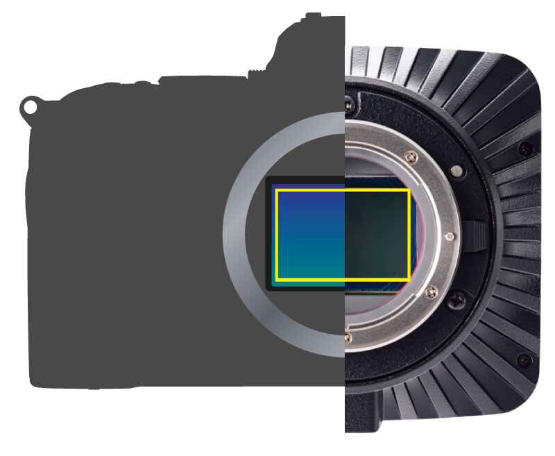 ECLIPSE Ti2 Series | Inverted Microscopes | Microscope Products | Nikon ...