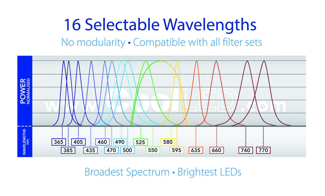 pE-4000 | CoolLED | Light Sources | Microscope Products | Nikon Europe B.V.