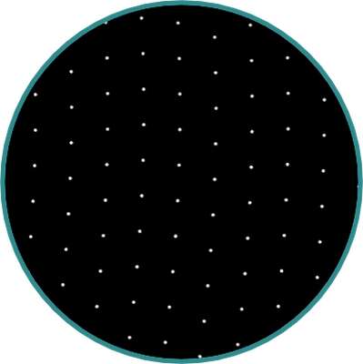 X-Light V3/DeepSIM | Crest X-Light Series | Confocal and Multiphoton ...