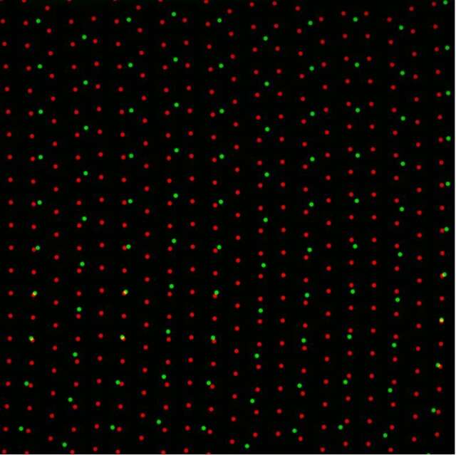 Crest X-Light V3 | Crest X-Light Series | Confocal Microscopes | Nikon ...