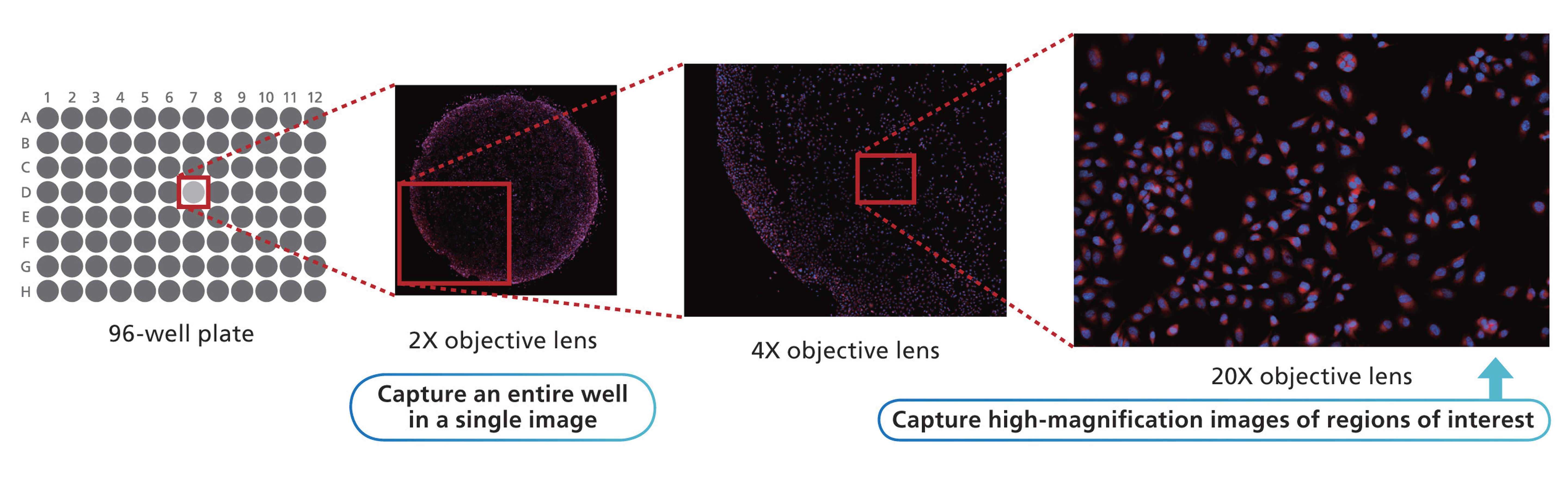 Digital Sight 50M | Cameras | Microscope Products | Nikon Instruments Inc.