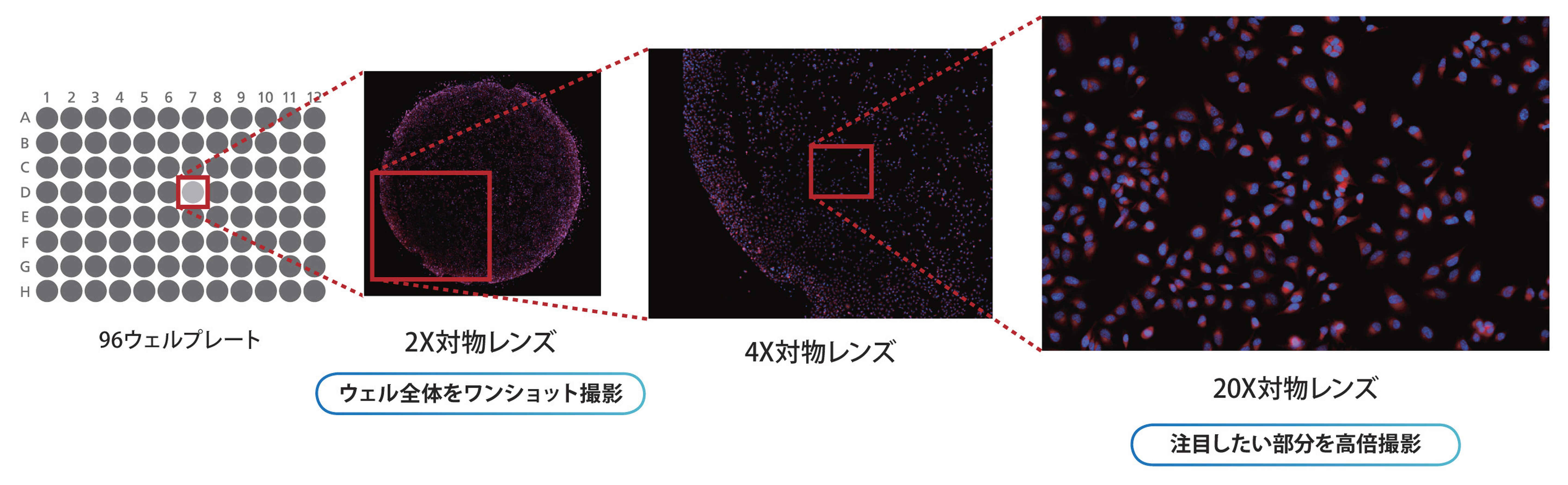 Digital Sight 50M | カメラ | 製品・サービス | 株式会社ニコンソリューションズ