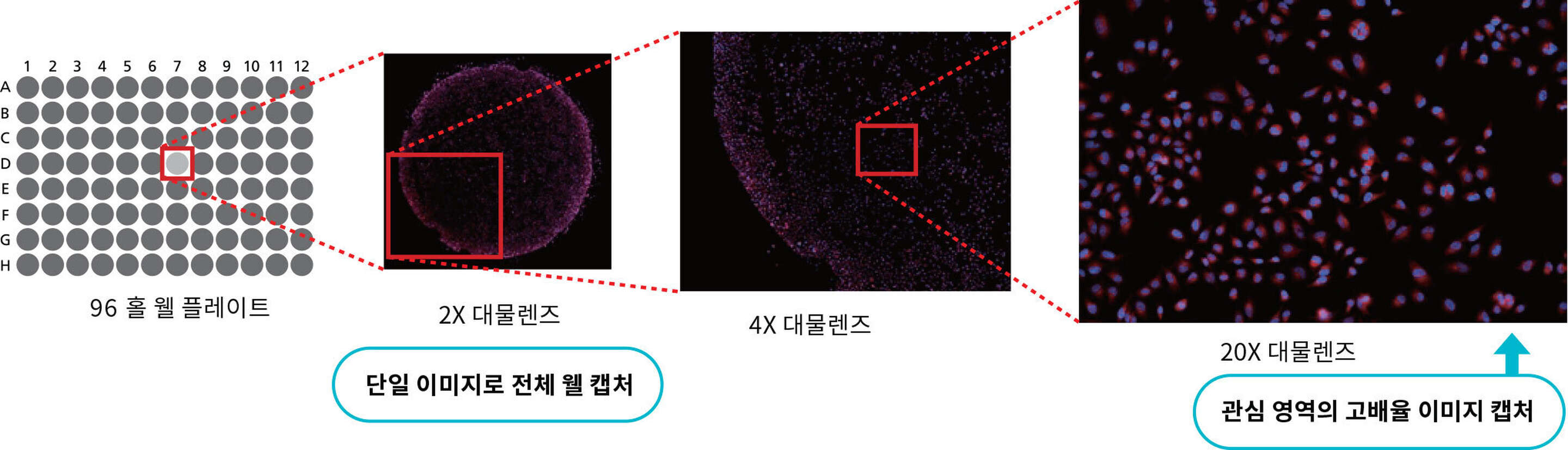 Digital Sight 50M | 카메라 | 현미경 제품 | 니콘인스트루먼트코리아
