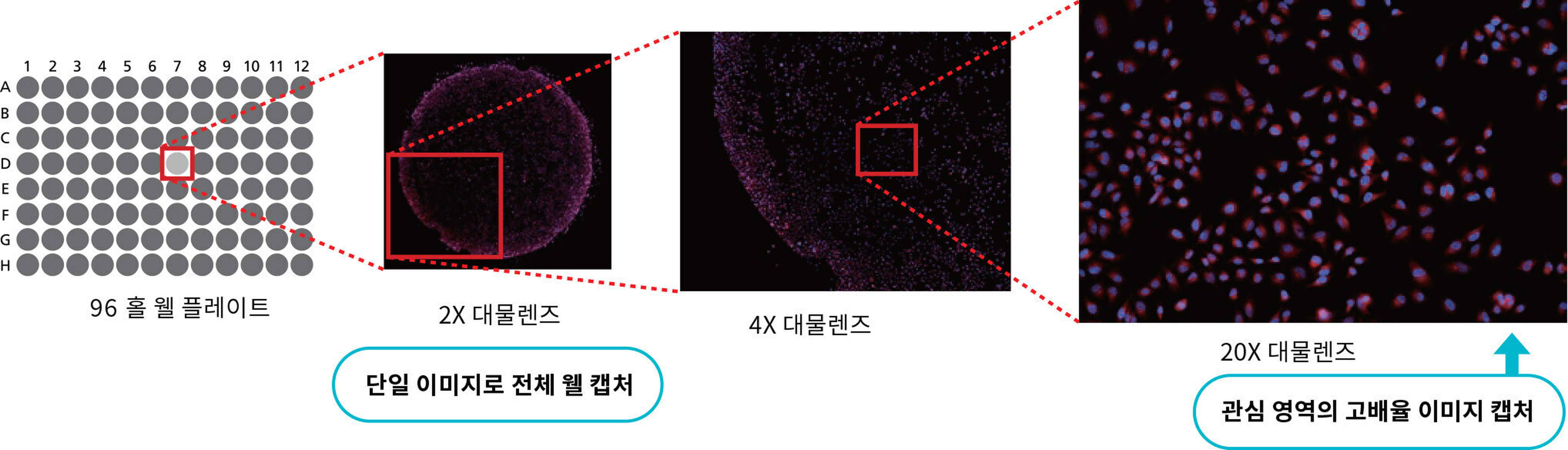 Digital Sight 50M | 카메라 | 현미경 제품 | 니콘인스트루먼트코리아