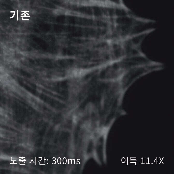 Digital Sight 50M | 카메라 | 현미경 제품 | 니콘인스트루먼트코리아