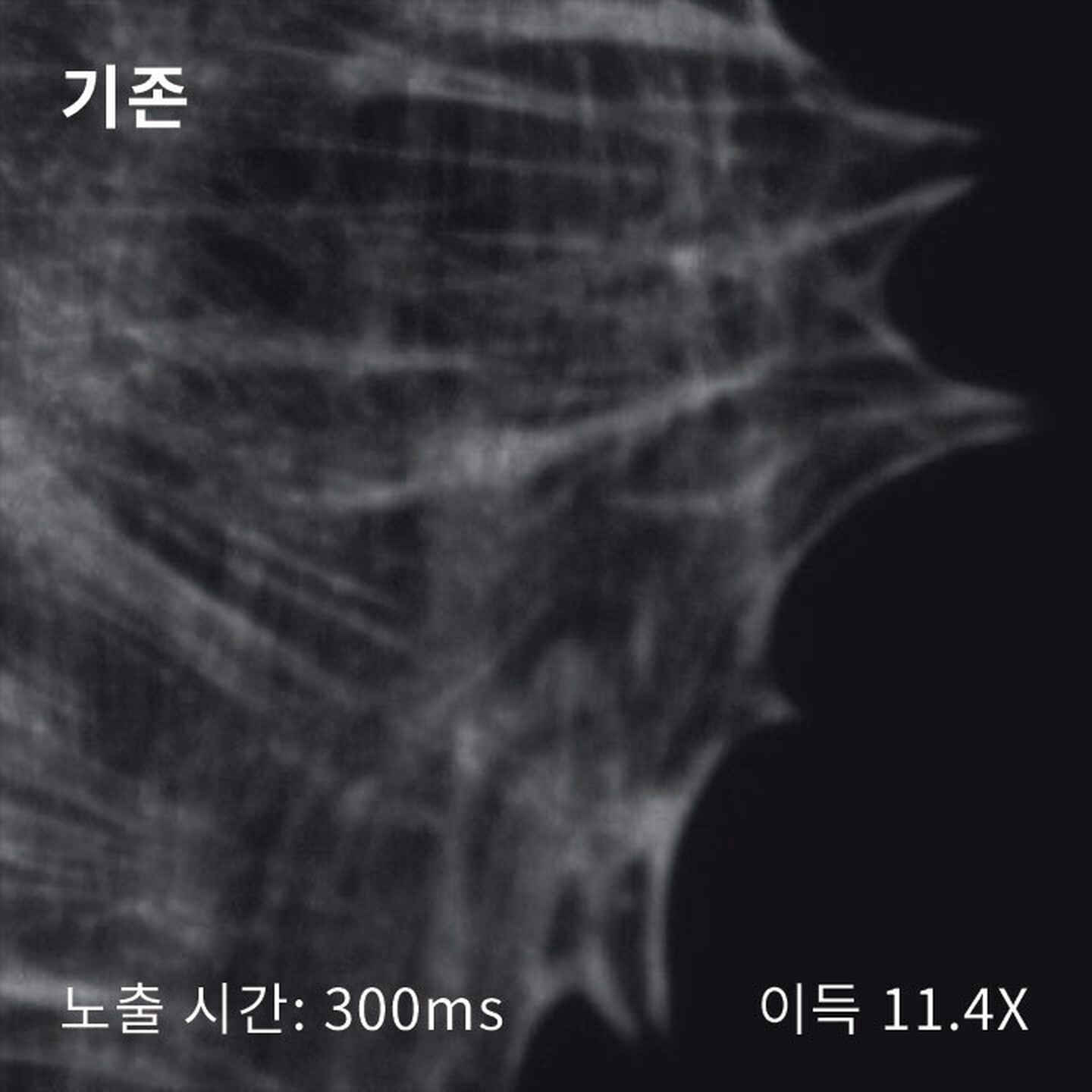 Digital Sight 50M | 카메라 | 현미경 제품 | 니콘인스트루먼트코리아