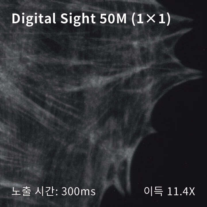Digital Sight 50M | 카메라 | 현미경 제품 | 니콘인스트루먼트코리아