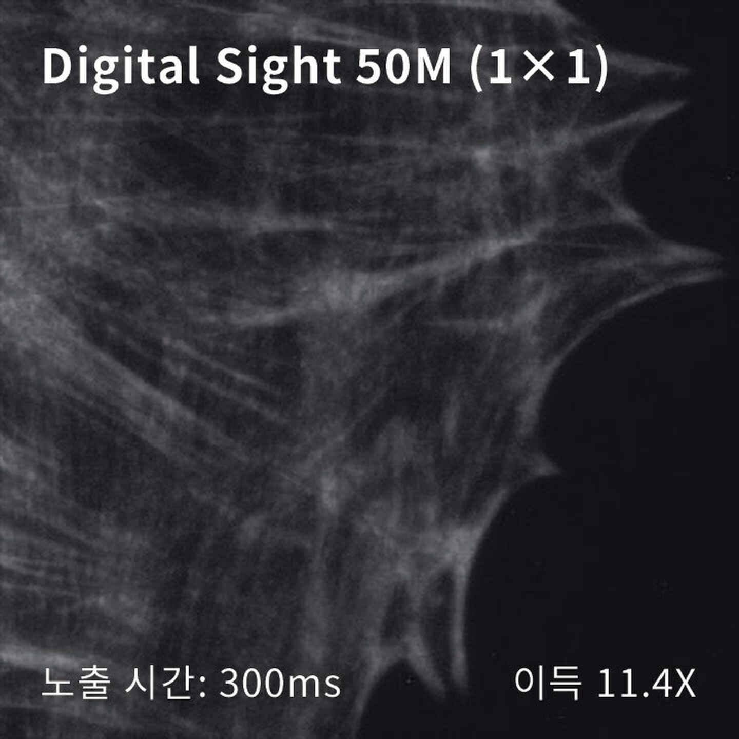 Digital Sight 50M | 카메라 | 현미경 제품 | 니콘인스트루먼트코리아