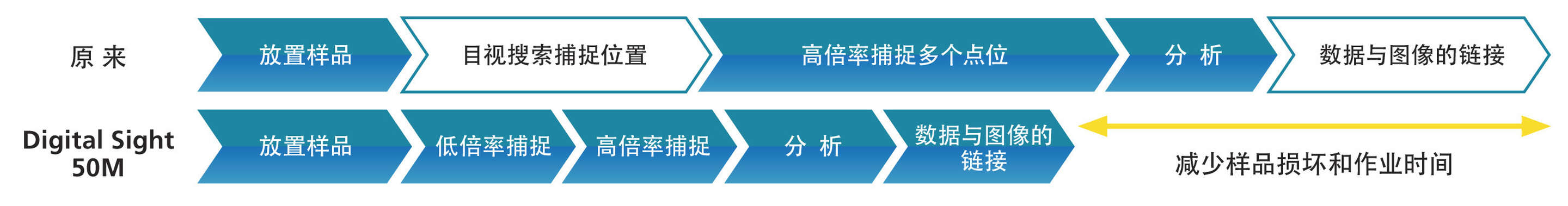 Digital Sight 50M | 相机 | 显微镜产品 | 尼康精机（上海）有限公司