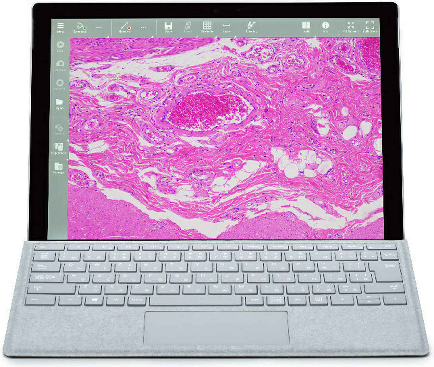 ECLIPSE Ci-L plus | Upright Microscopes | Microscope Products | Nikon ...