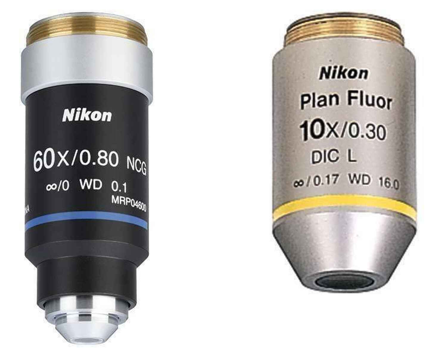 ECLIPSE Ci Series | Upright Microscopes | Microscope Products | Nikon Instruments Inc.