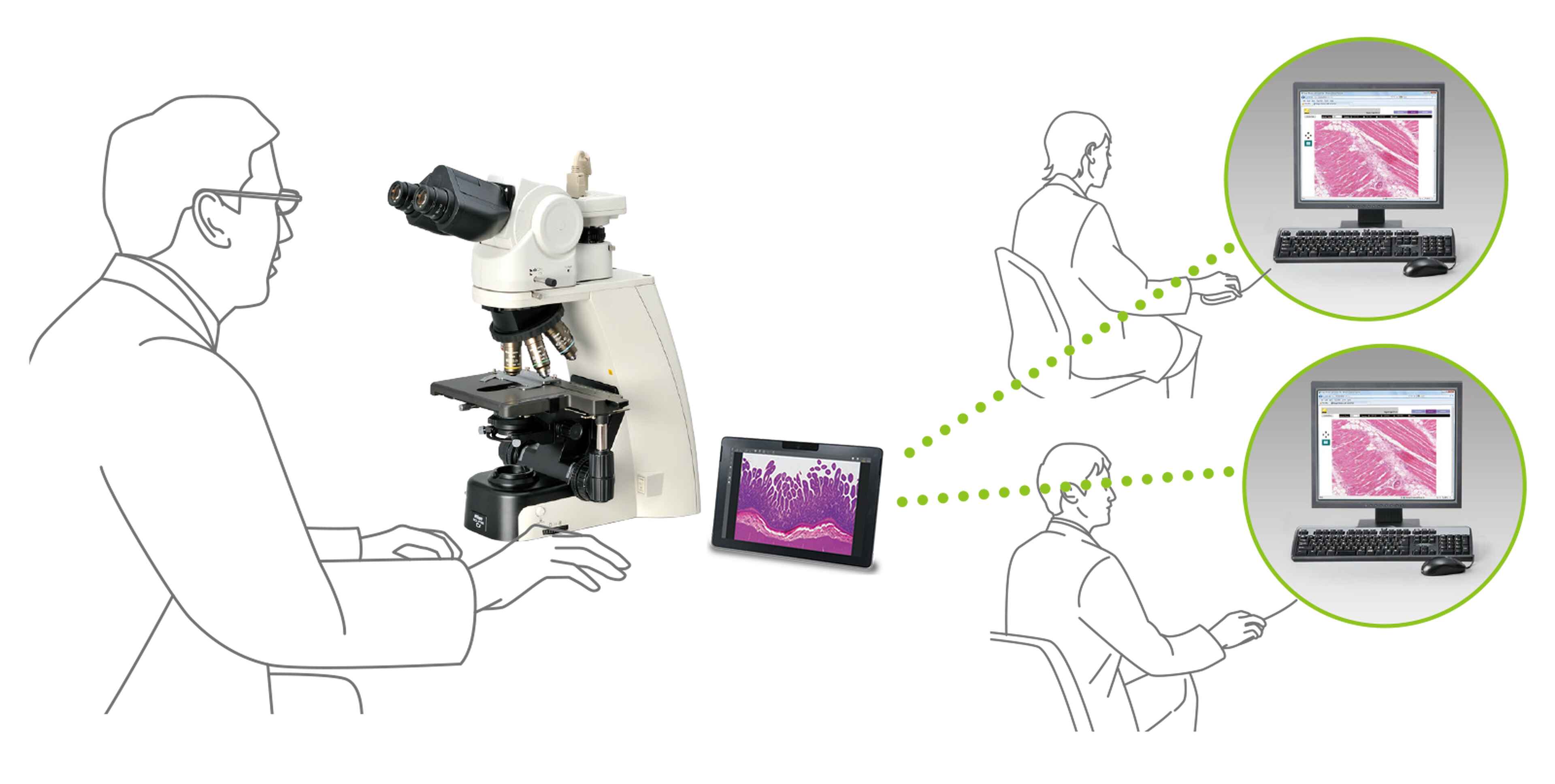 ECLIPSE Ci-L plus | Upright Microscopes | Microscope Products | Nikon ...