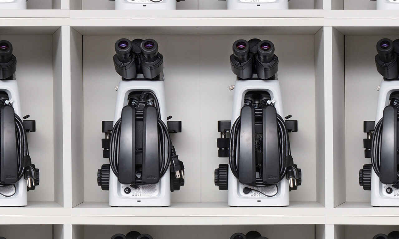 ECLIPSE Ei | Upright Microscopes | Microscope Products | Nikon ...