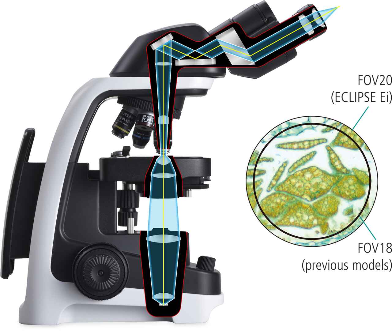 ECLIPSE Ei | Upright Microscopes | Microscope Products | Nikon ...