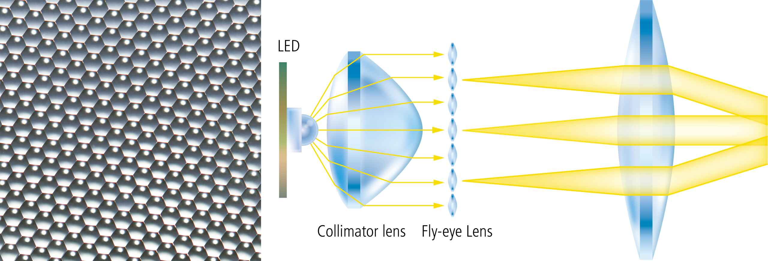 ECLIPSE Ei | Upright Microscopes | Microscope Products | Nikon ...
