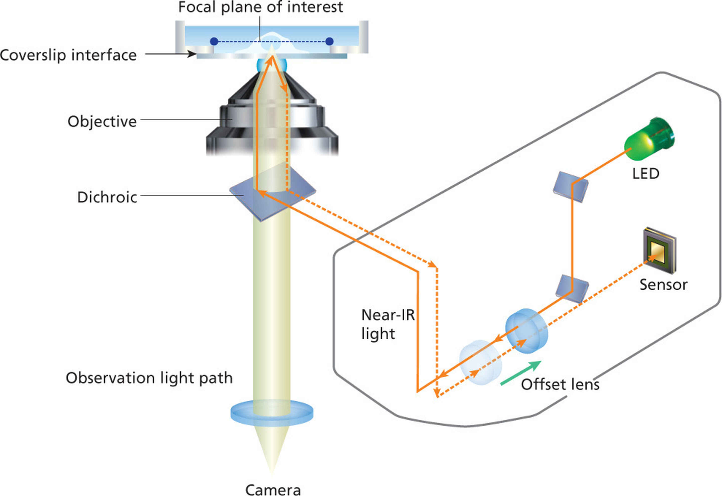 ECLIPSE Ji for Research | ECLIPSE Ji | Digital Microscopes | Microscope Products | Nikon ...
