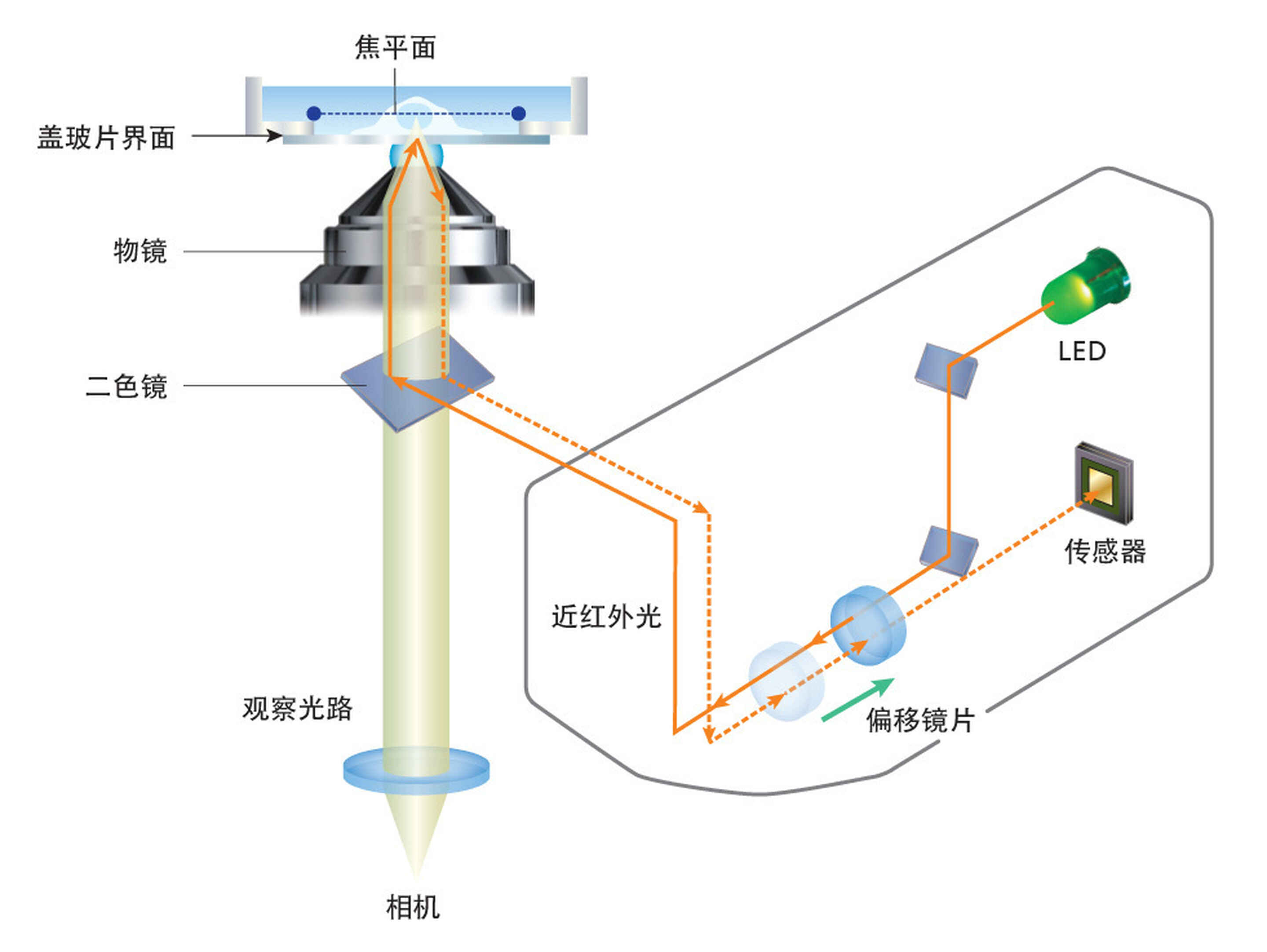 ECLIPSE Ji for Research | ECLIPSE Ji | 数码显微镜 | 显微镜产品 | 尼康精机（上海）有限公司