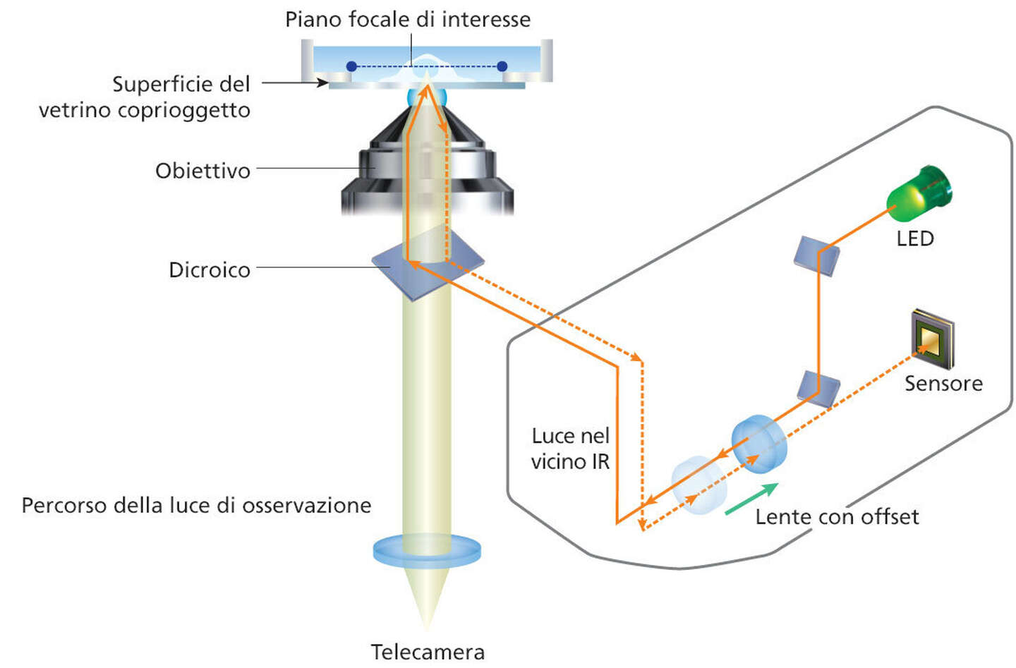 ECLIPSE Ji for Research | ECLIPSE Ji | Microscopi Digitali | Microscopi ...