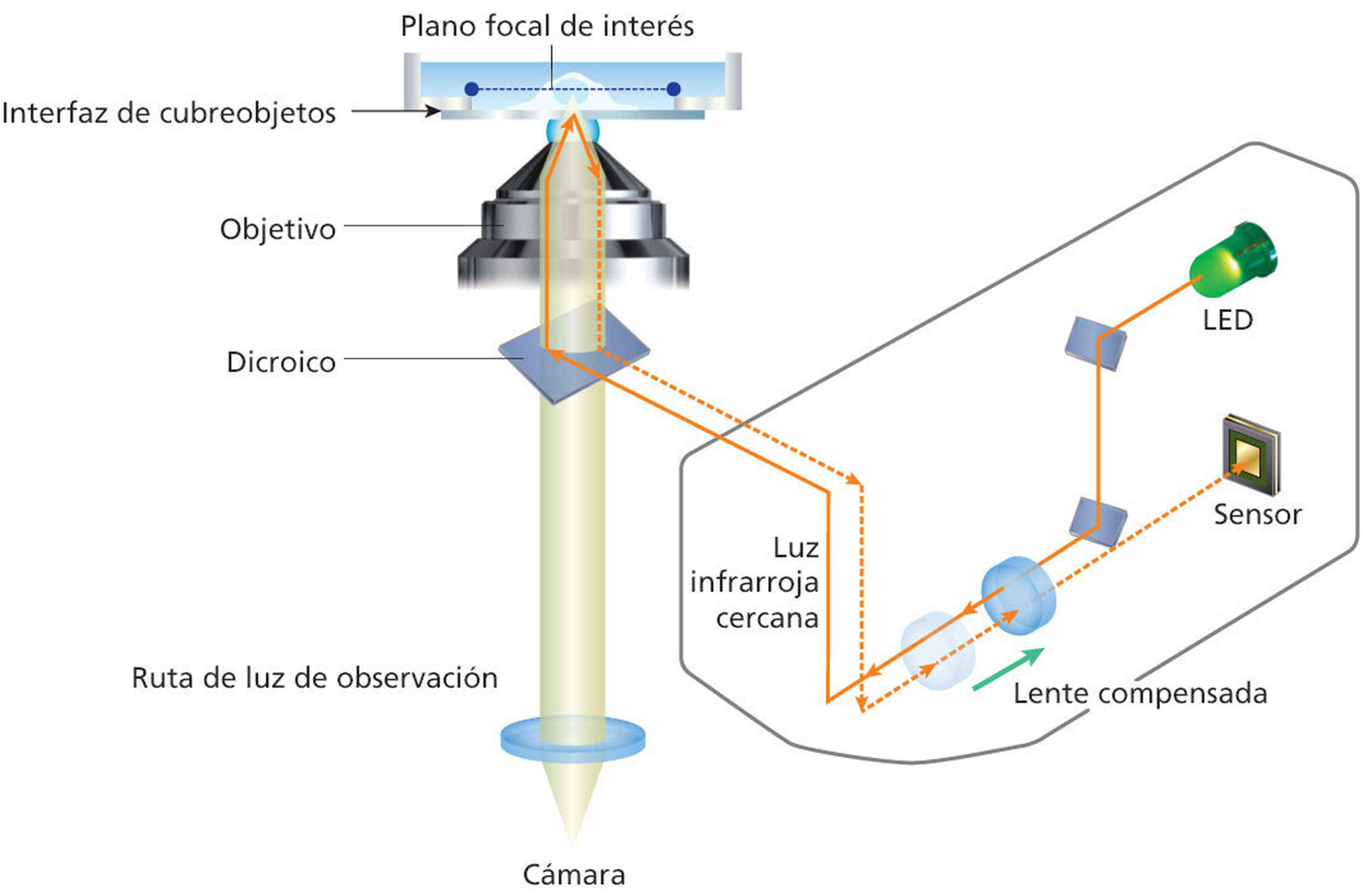 ECLIPSE Ji for Research | ECLIPSE Ji | Microscopios digitales ...