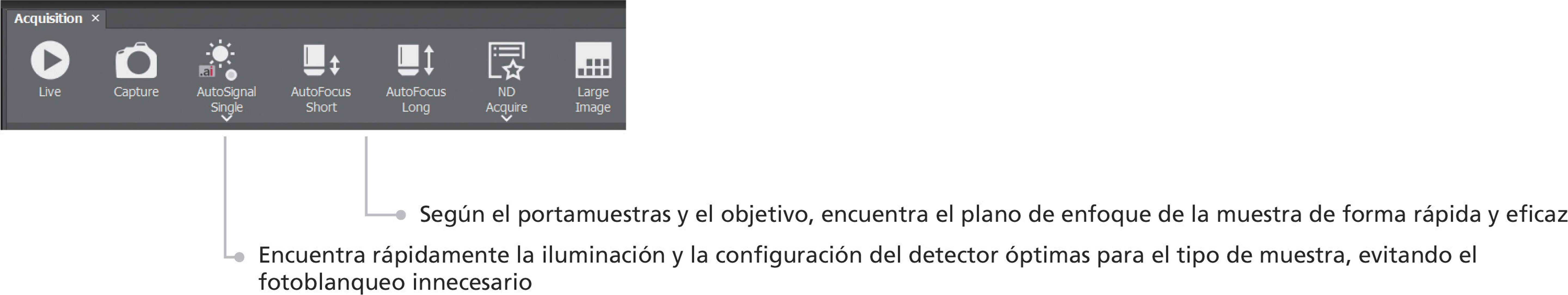 ECLIPSE Ji for Research | ECLIPSE Ji | Microscopios digitales ...