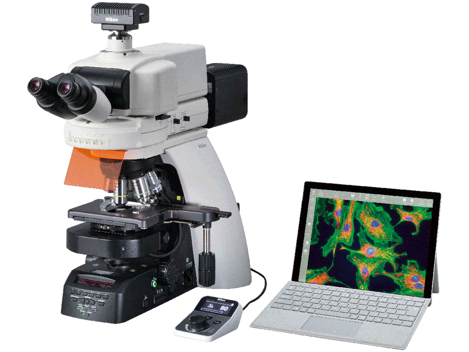 ECLIPSE Ni Series | Upright Microscopes | Microscope Products | Nikon Instruments Inc.
