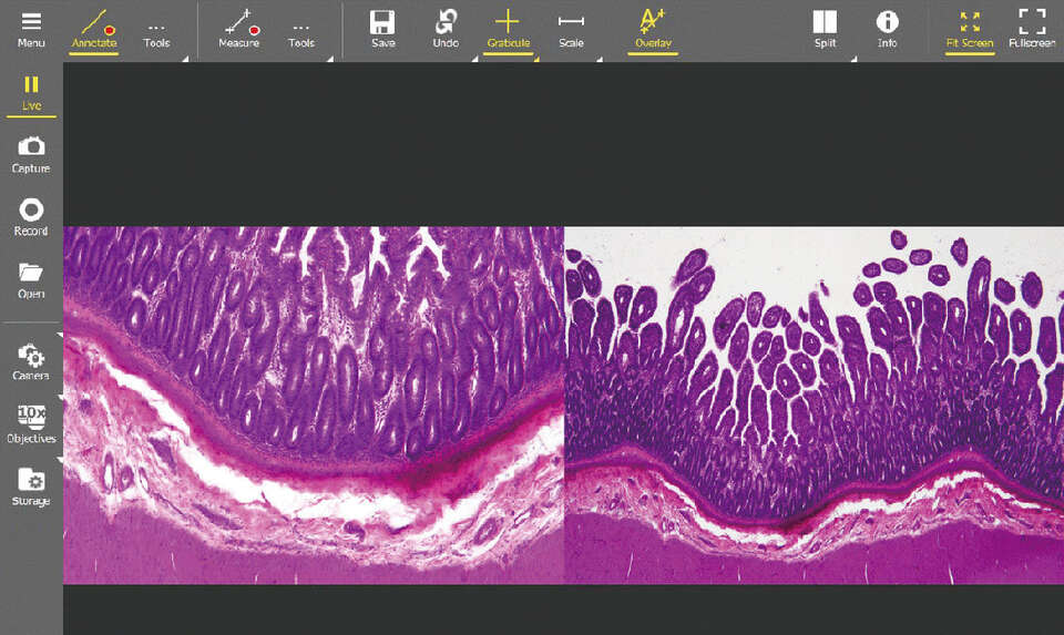 NIS-Elements 成像软件 | ECLIPSE Ni Series | 正置显微镜 | 显微镜产品 | 尼康精机（上海）有限公司