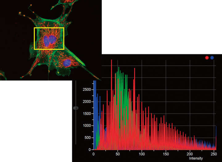 NIS-Elements imaging software | ECLIPSE Ni Series | Upright Microscopes ...