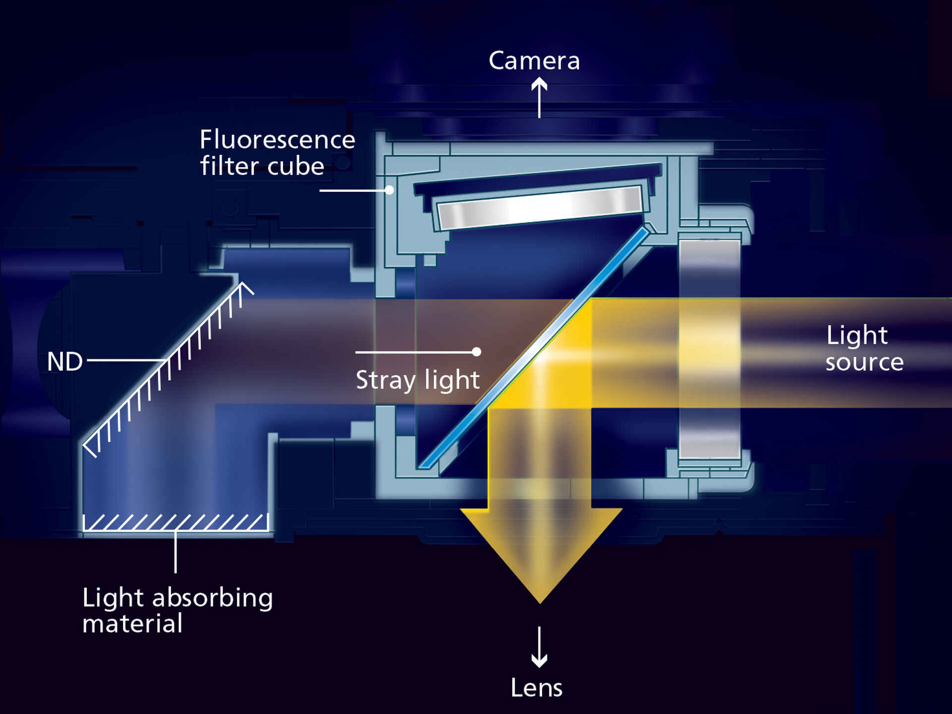 Upright Microscope Eclipse Ni Series | EINST Technology Pte Ltd.