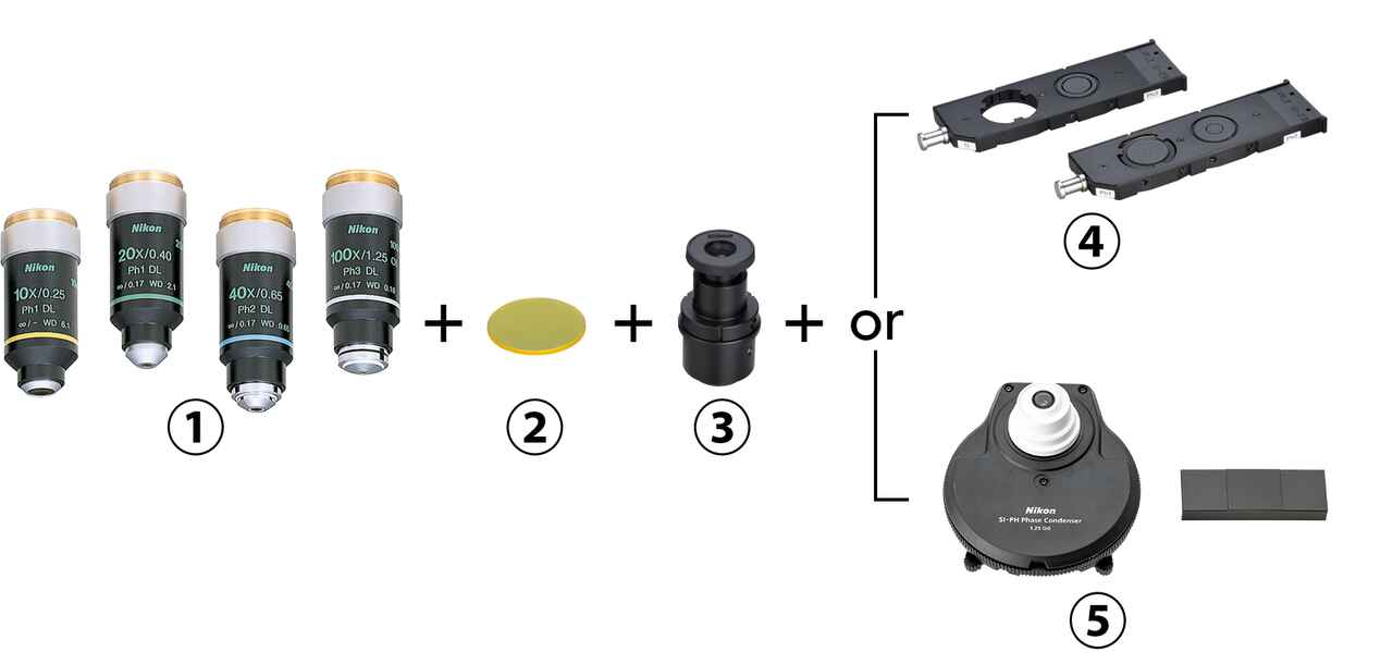 ECLIPSE Si | Upright Microscopes | Microscope Products | Nikon ...