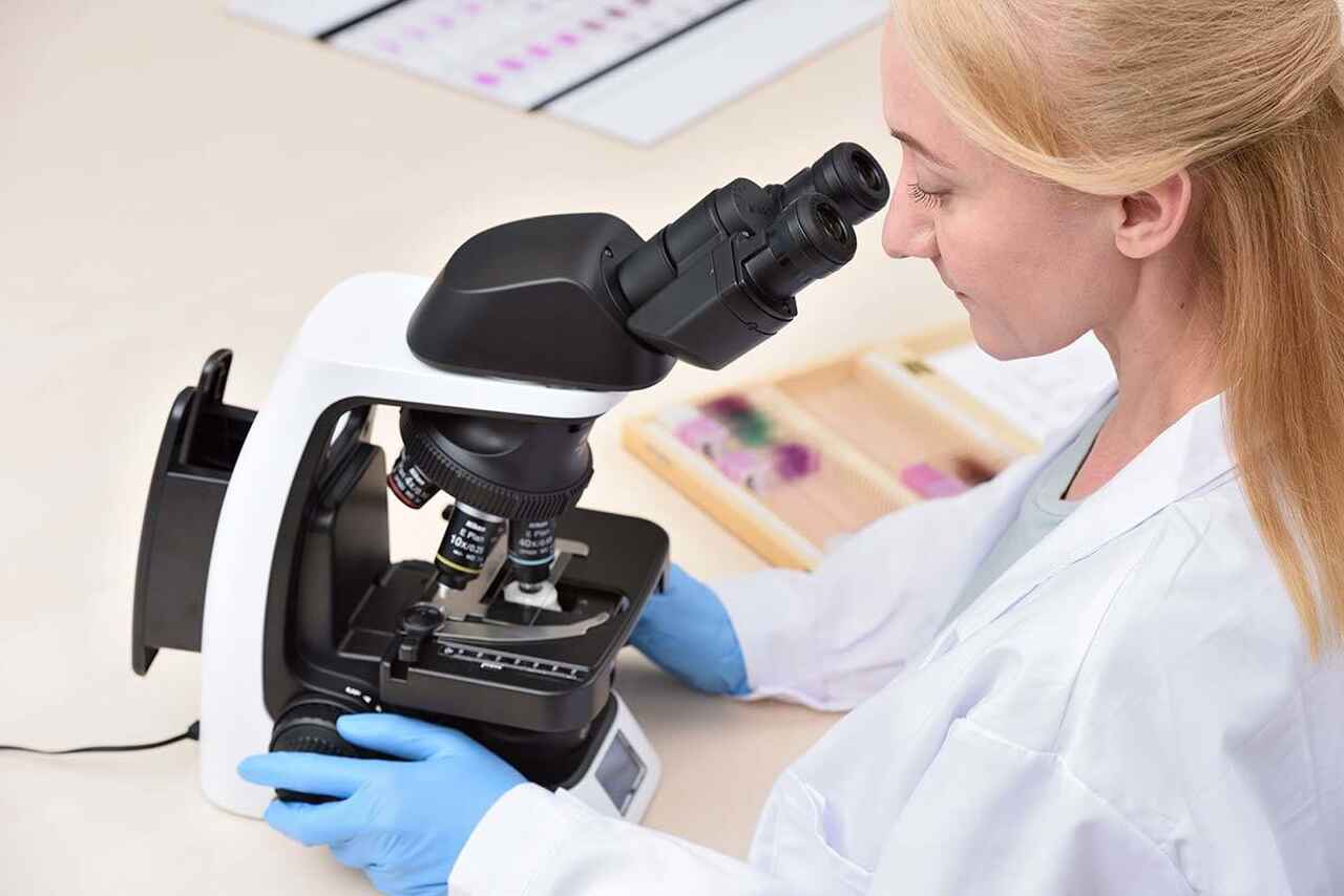 ECLIPSE Si | Upright Microscopes | Microscope Products | Nikon ...