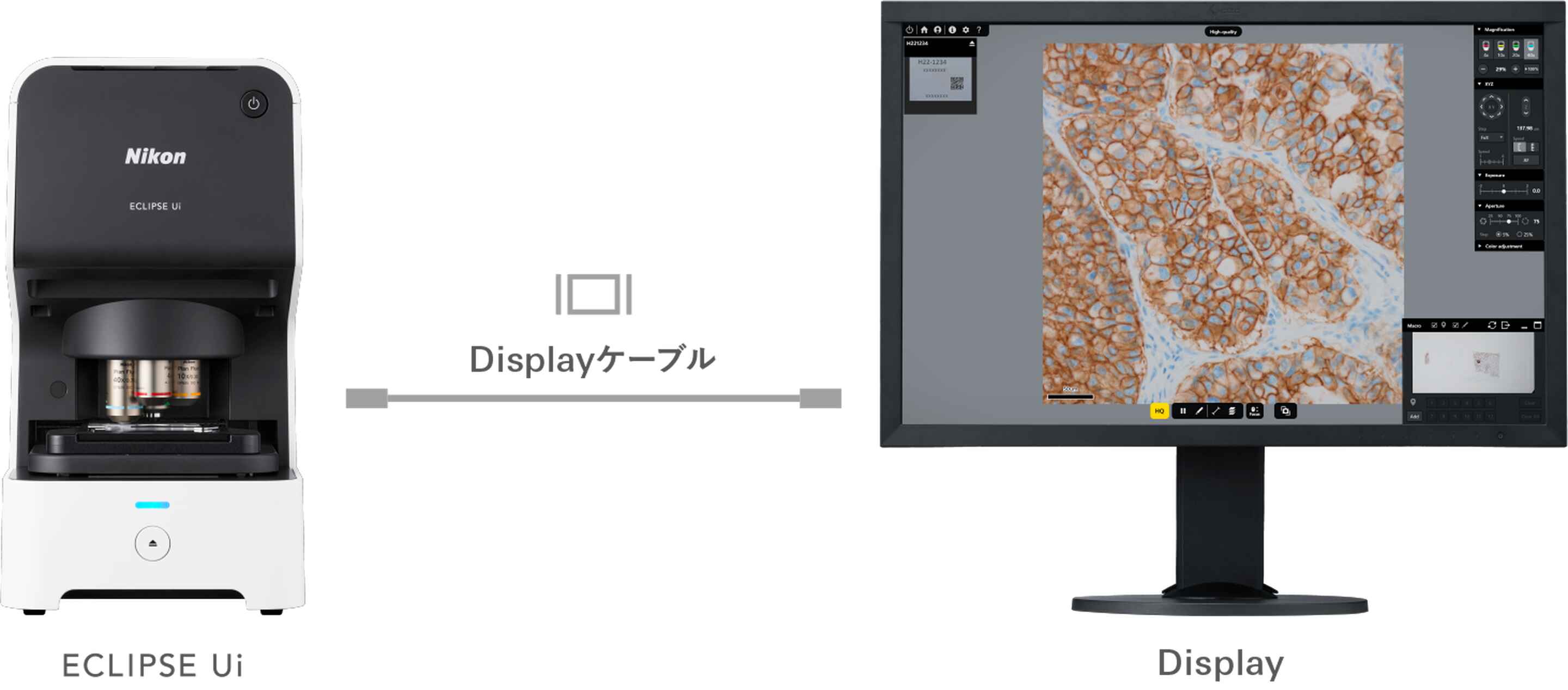 ECLIPSE Ui | デジタル顕微鏡 | 製品・サービス | 株式会社ニコンソリューションズ