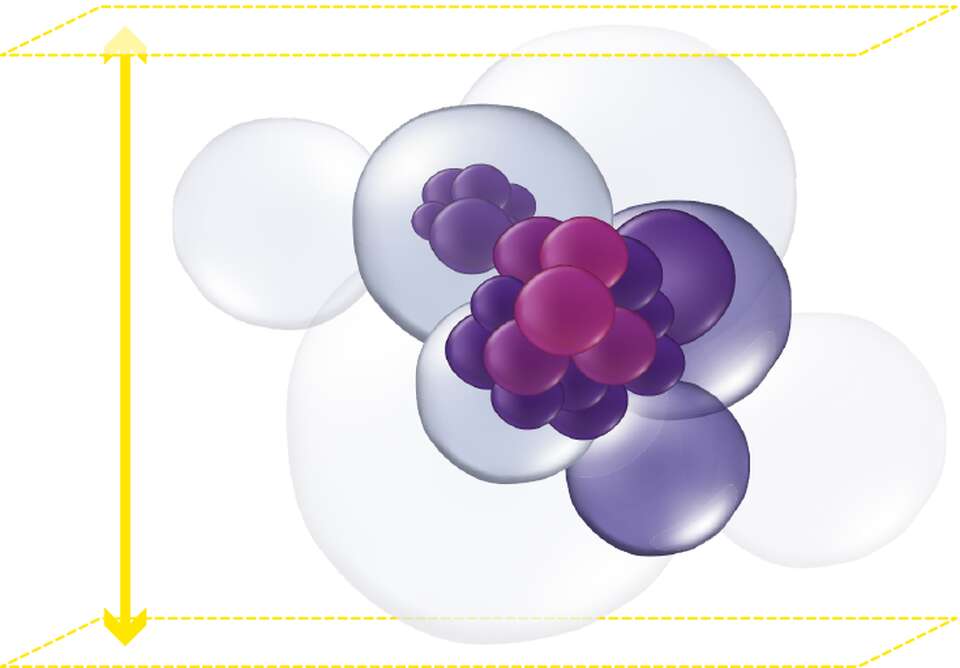 ECLIPSE Ui | Digital Microscopes | Microscope Products | Nikon ...