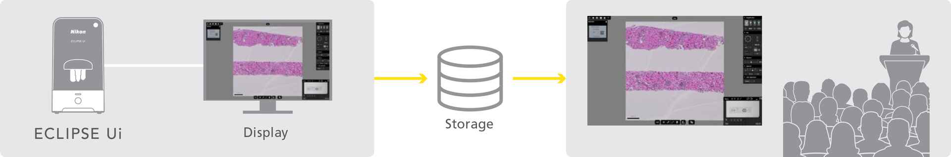 ECLIPSE Ui | Digital Microscopes | Microscope Products | Nikon ...