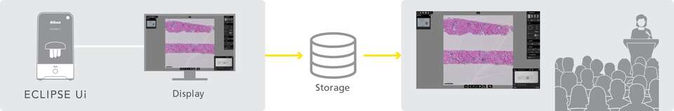 ECLIPSE Ui | Digital Microscopes | Microscope Products | Nikon ...