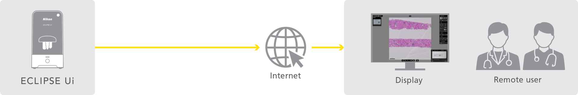 ECLIPSE Ui | Digital Microscopes | Microscope Products | Nikon ...