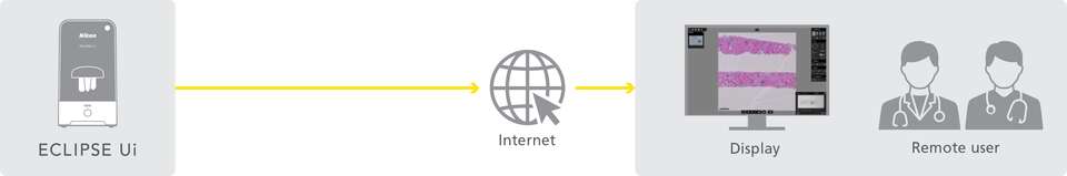ECLIPSE Ui | Digital Microscopes | Microscope Products | Nikon ...