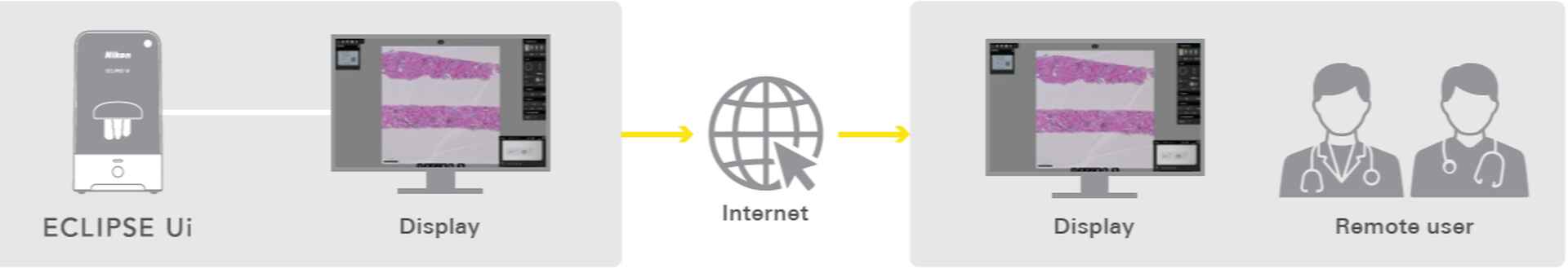 ECLIPSE Ui | Digital Microscopes | Microscope Products | Nikon ...