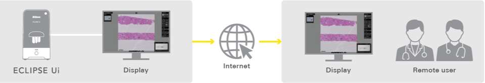 ECLIPSE Ui | Digital Microscopes | Microscope Products | Nikon ...