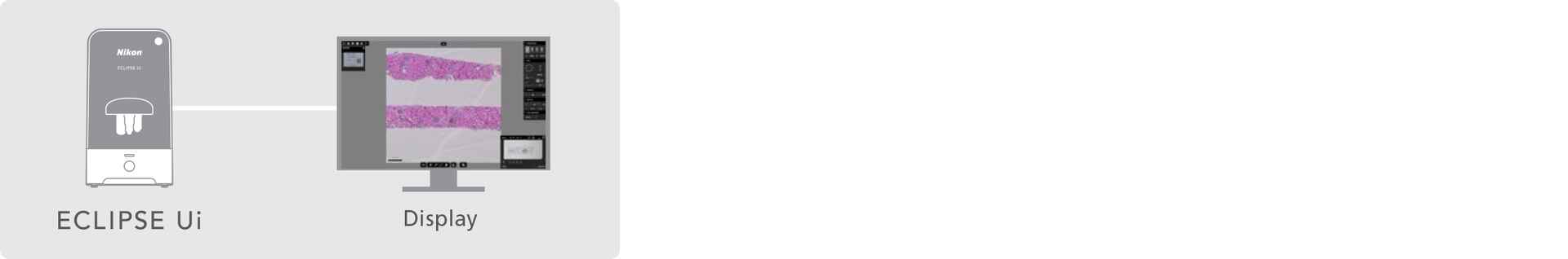 ECLIPSE Ui | Digital Microscopes | Microscope Products | Nikon ...