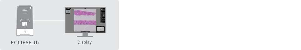 ECLIPSE Ui | Digital Microscopes | Microscope Products | Nikon ...