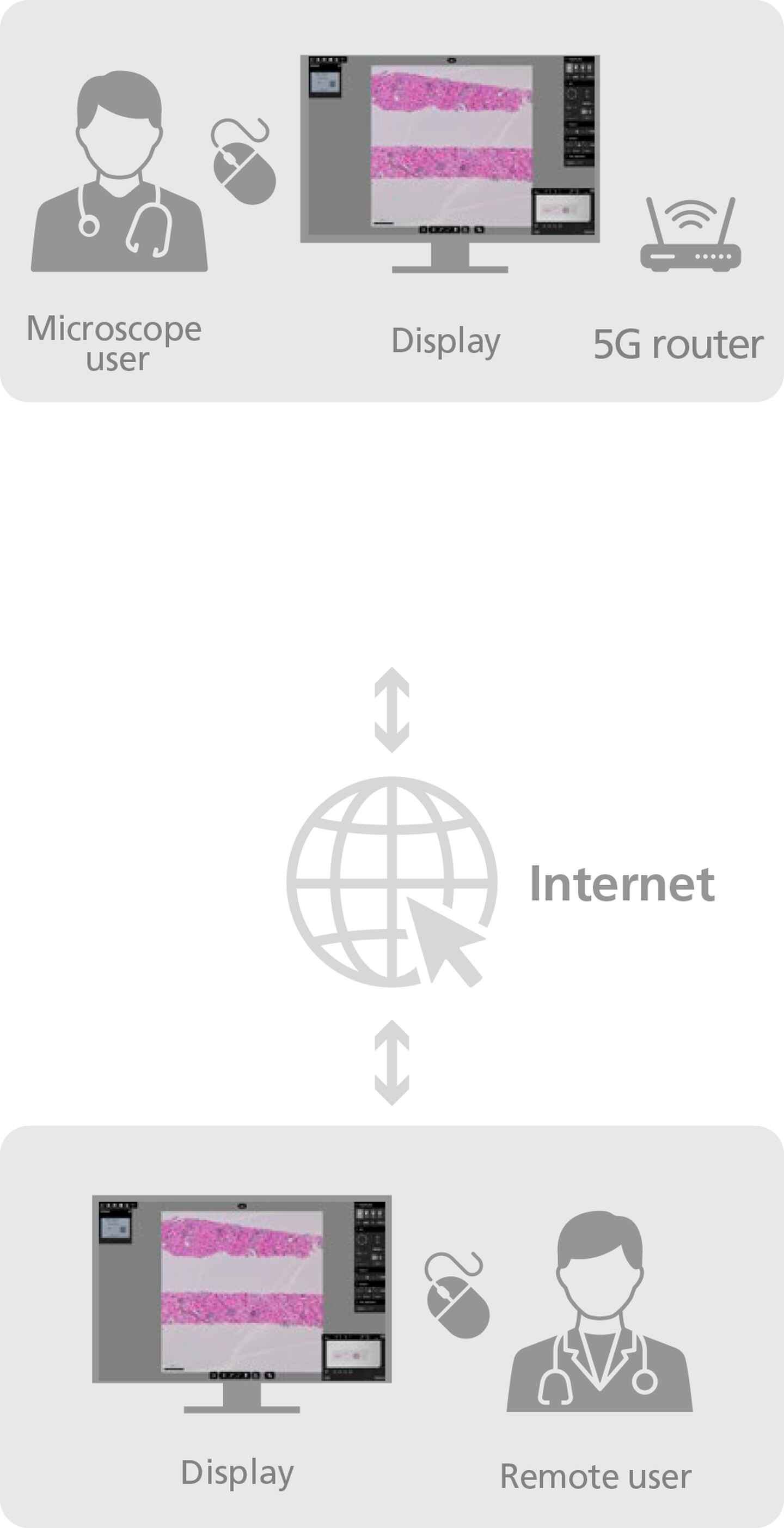 ECLIPSE Ui | Digital Microscopes | Microscope Products | Nikon Europe B.V.