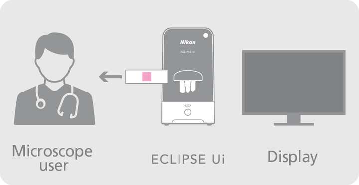 ECLIPSE Ui | Digital Microscopes | Microscope Products | Nikon ...