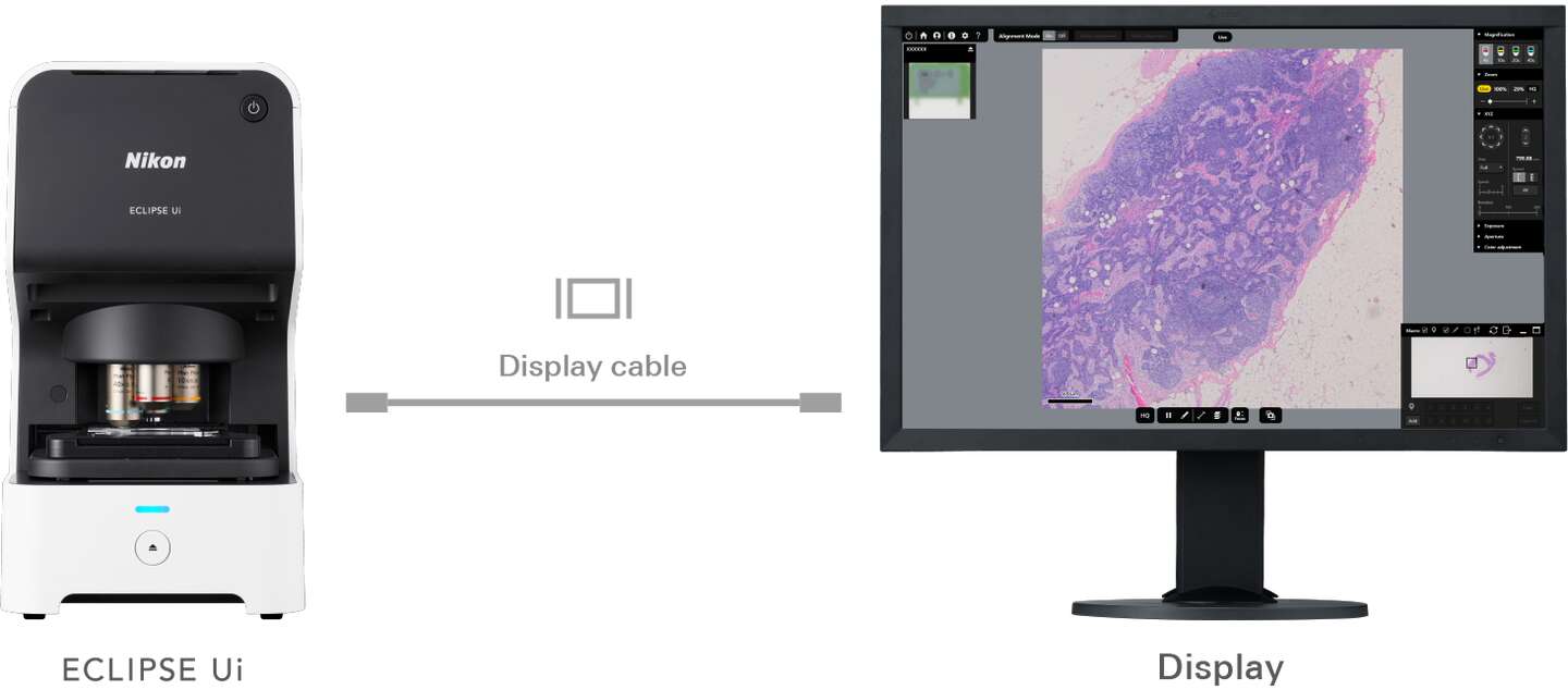 ECLIPSE Ui | Digital Microscopes | Microscope Products | Nikon Instruments Inc.