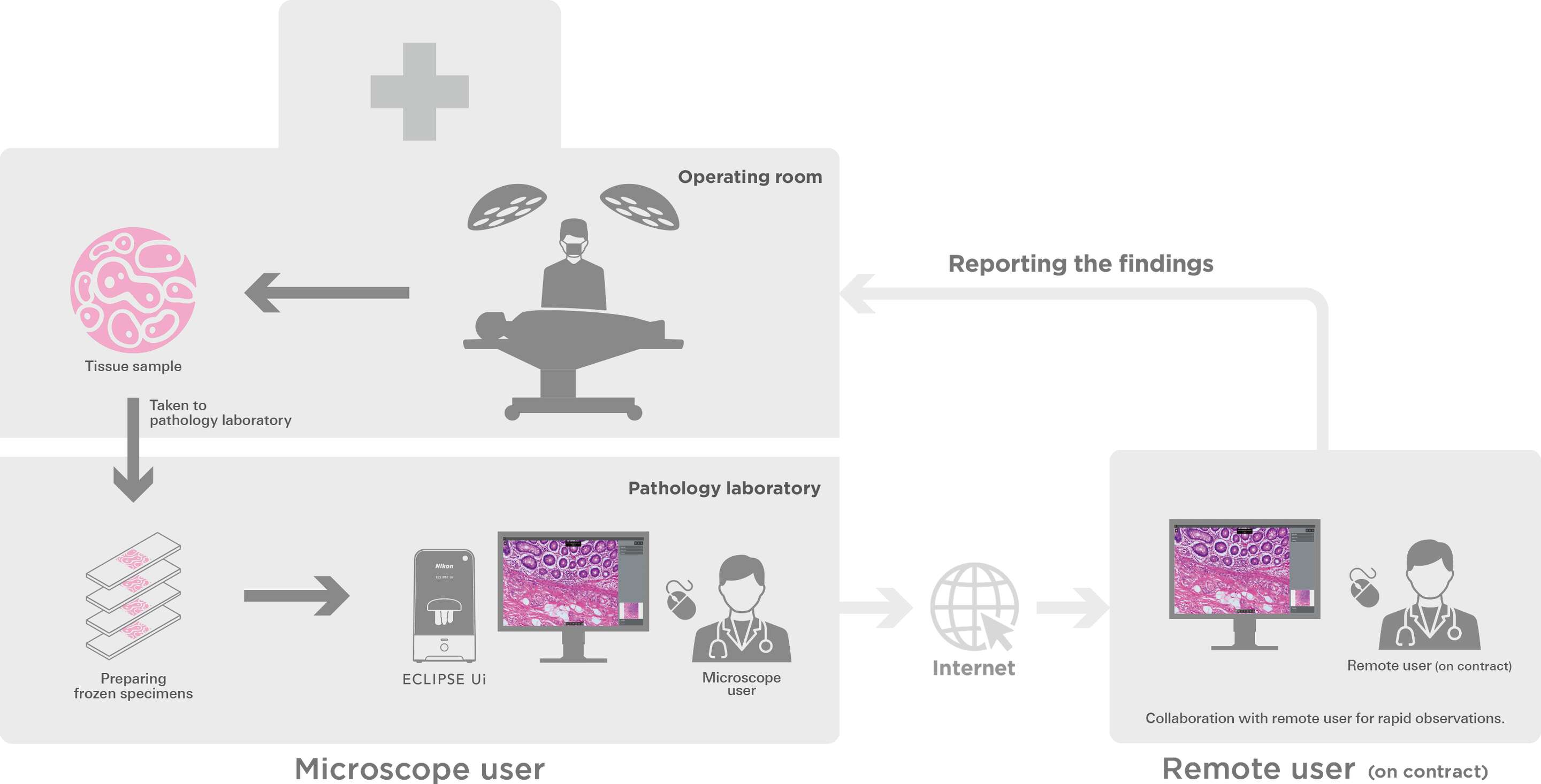 ECLIPSE Ui | Digital Microscopes | Microscope Products | Nikon ...