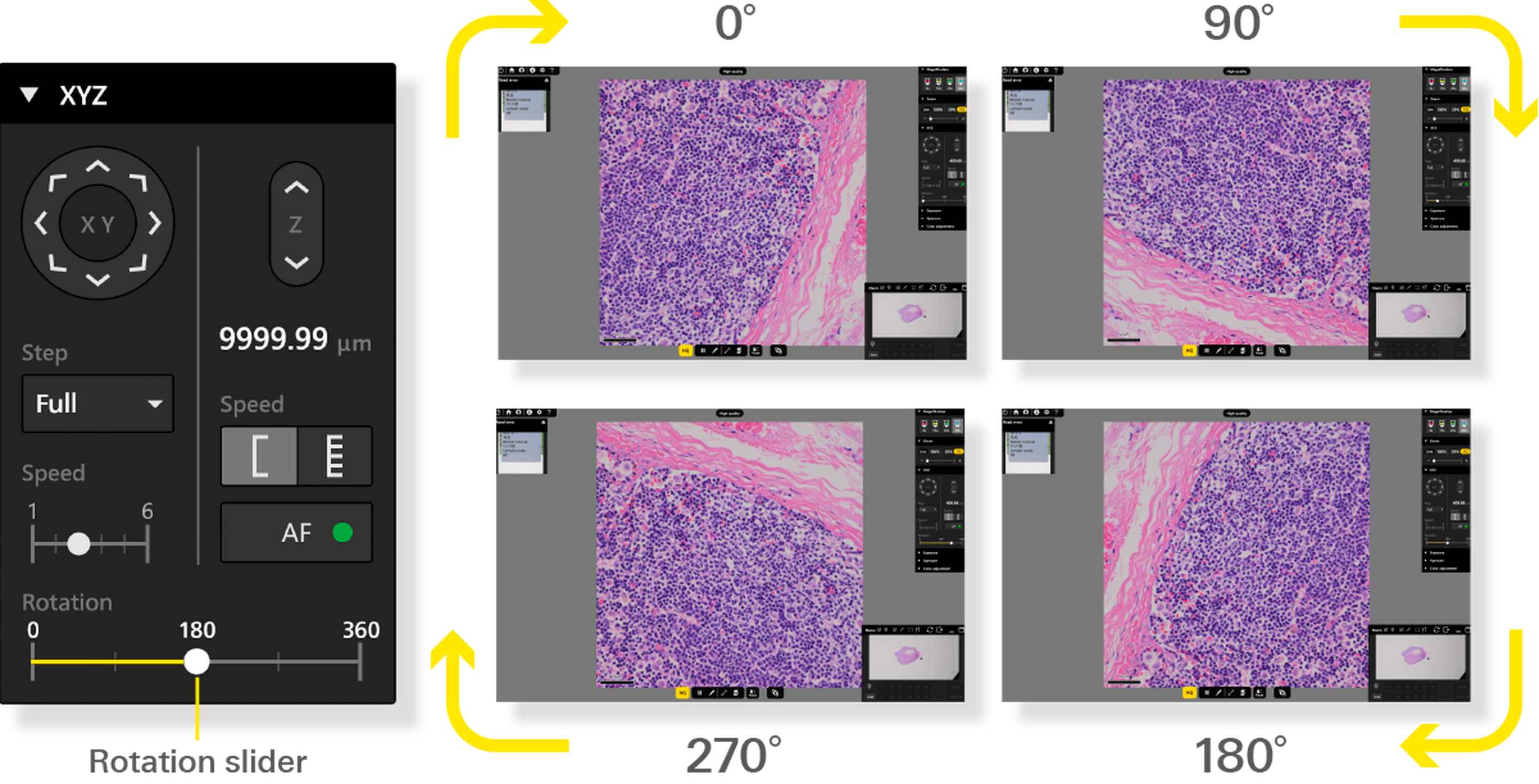 ECLIPSE Ui | Digital Microscopes | Microscope Products | Nikon ...