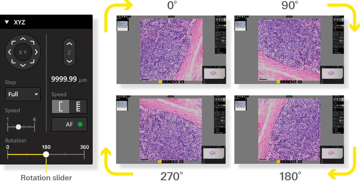 ECLIPSE Ui | Digital Microscopes | Microscope Products | Nikon ...