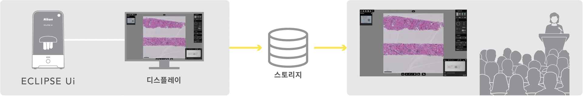 ECLIPSE Ui | 디지털 현미경 | 현미경 제품 | 니콘인스트루먼트코리아