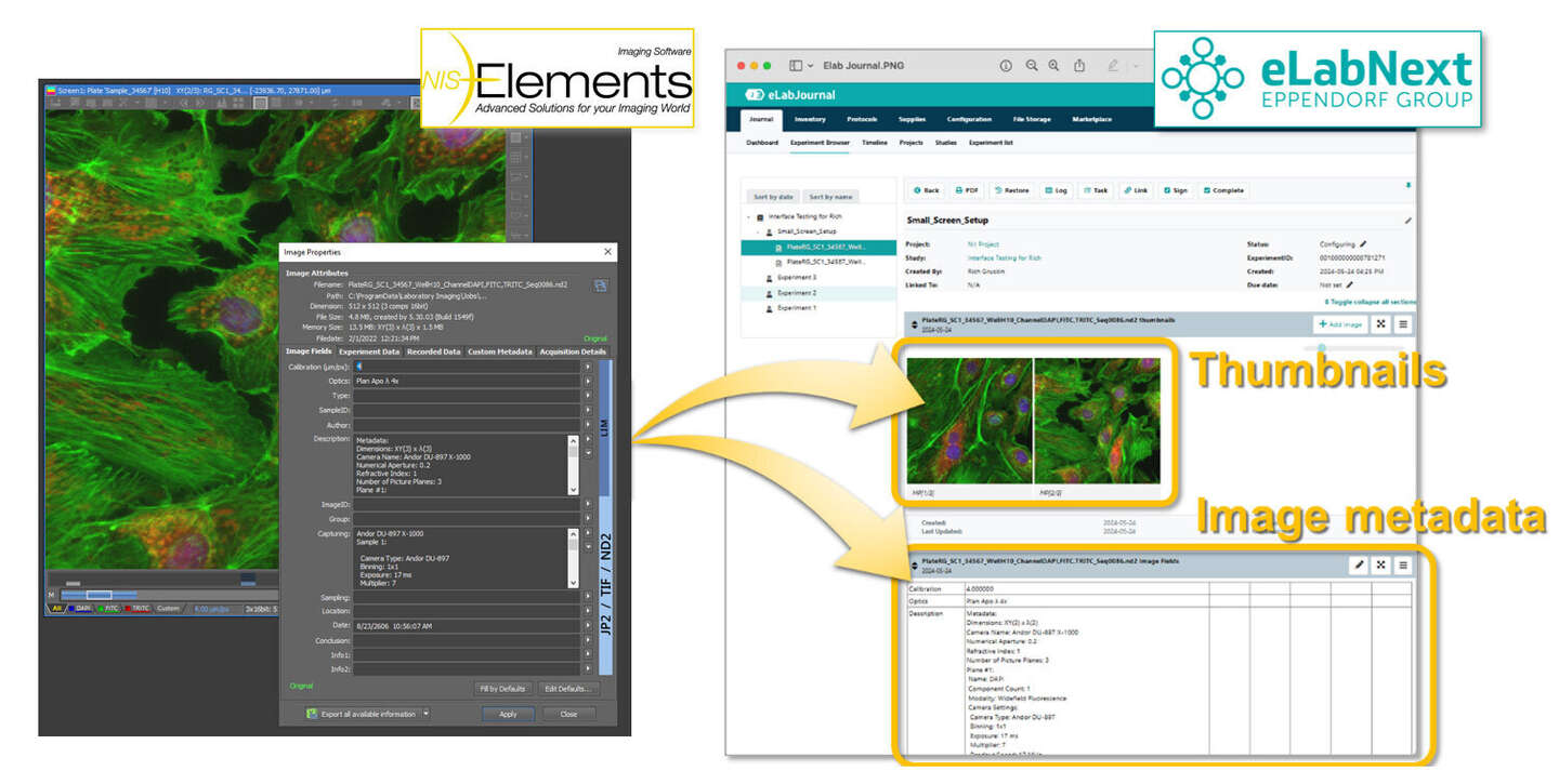 Software Resources | NIS-Elements | Software | Microscope Products ...
